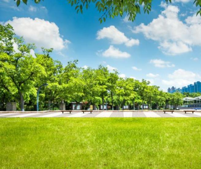 Parking near Rash Field Park in Baltimore, MD.